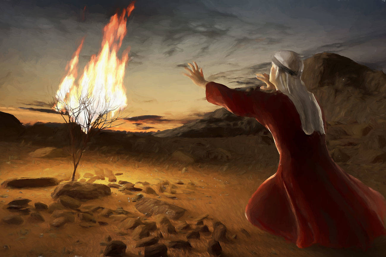God of the Fathers | Torah Portions | FFOZ