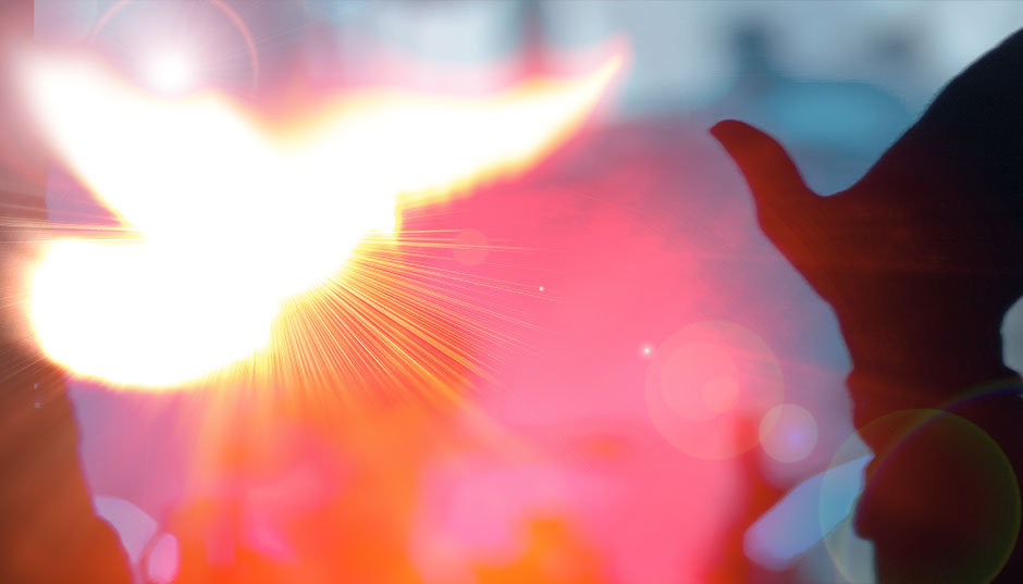 Tongues of Fire | Torah Portions | FFOZ