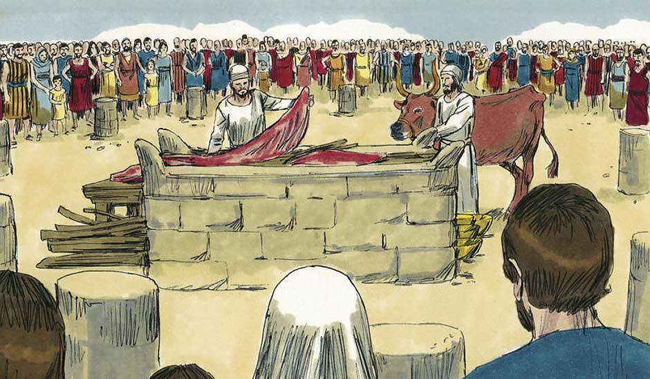 Messiah and the Sacrifices | Torah Portions | FFOZ