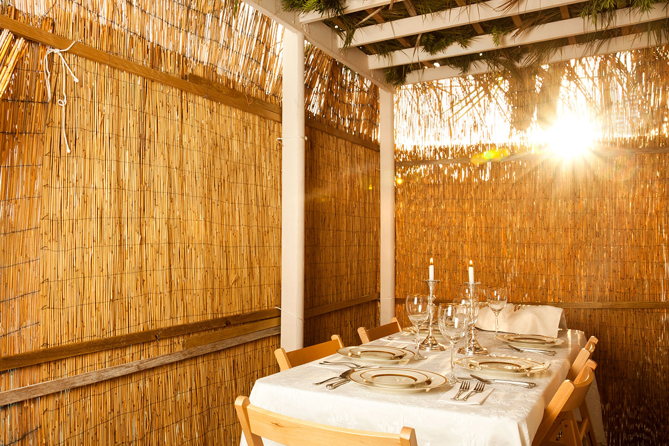 A Sukkot Field Guide | Read | Messiah Online | FFOZ