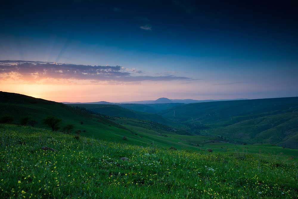 The Restoration of Zion | Read | Messiah Online | FFOZ