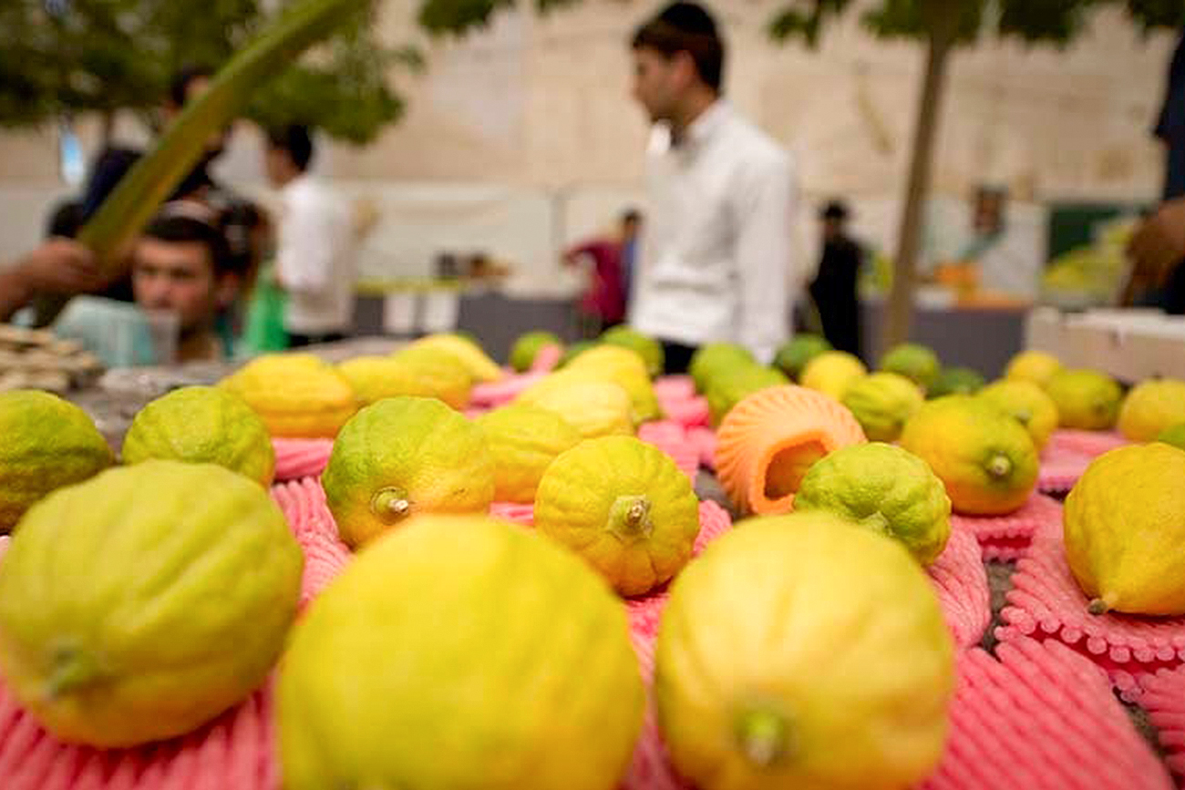 The LORD’s Appointed Times | Torah Portions | FFOZ