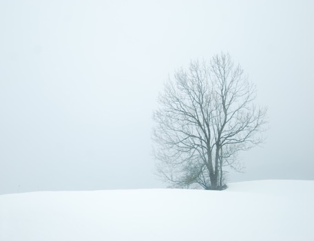 Snowflakes or Stoics? A Tale of Two Millennials