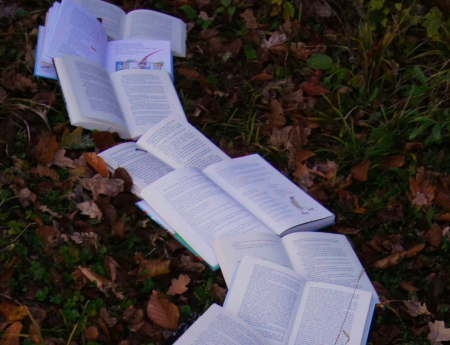 Discover the Best Books to Read with Blinkist’s Summaries (and Free Trial!)