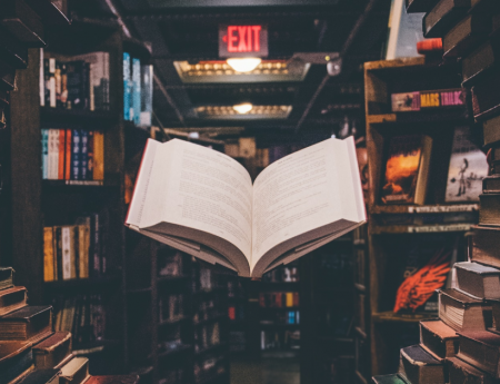 The 30 Best Fiction Books on Blinkist – Literature You Can’t Miss