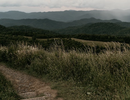 Appalachian Dream? Unraveling the ‘Hillbilly Elegy’ Controversy