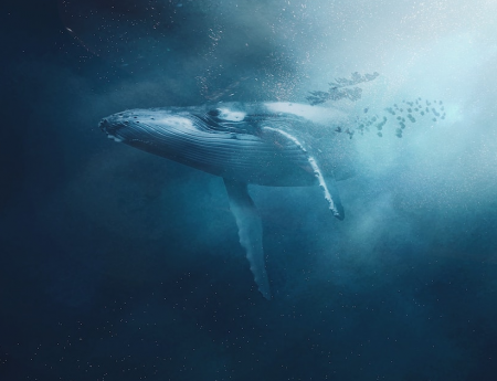 Top 10 Moby Dick Quotes That Will Take You on an Epic Adventure