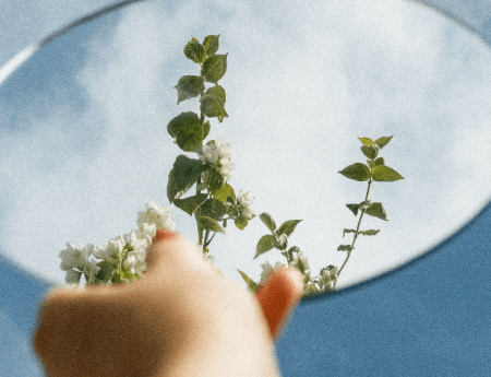 Reflecting on Life: Top 20 Mirror Quotes to Inspire Self-Discovery and ...