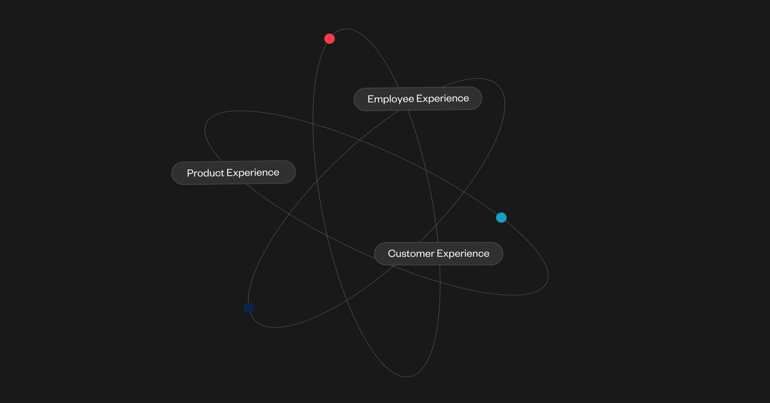 Rightpoint Total Experience | Marnocha Studios