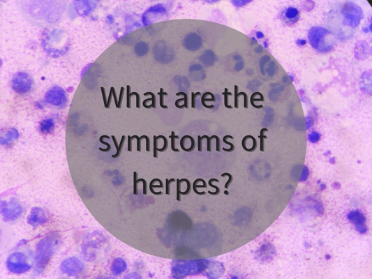 Herpes Symptoms in Women and Men | STDWatch.com