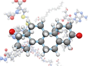 The Effect of Testosterone on the Immune System | STDWatch.com