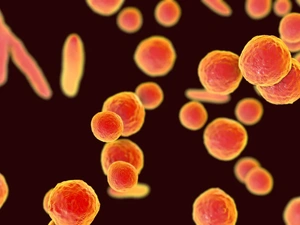 Mycoplasma genitalium symptoms and causes | STDWatch.com
